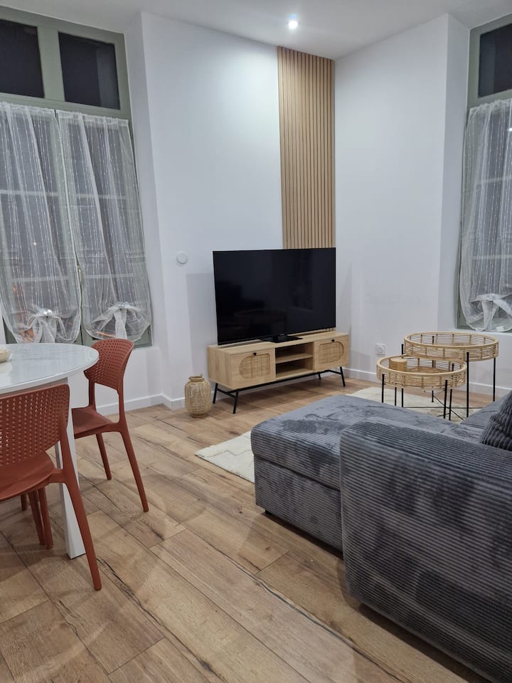 T2 Chaleureux Proche De La Gare - Saint-Étienne