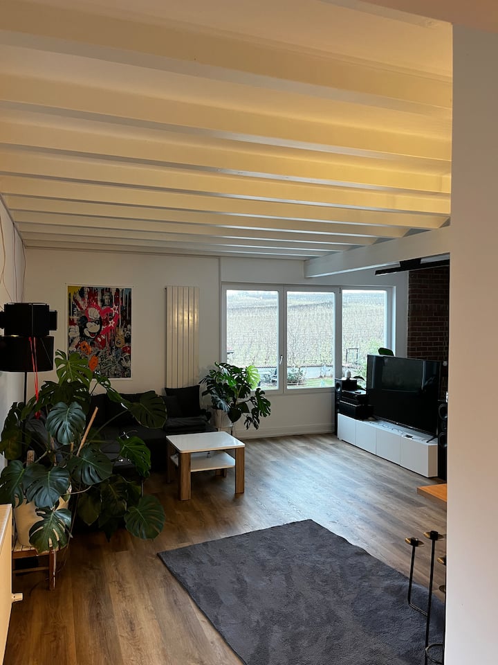 Neu Renoviert · Hell & Modern · Weinberg-blick - Oppenheim