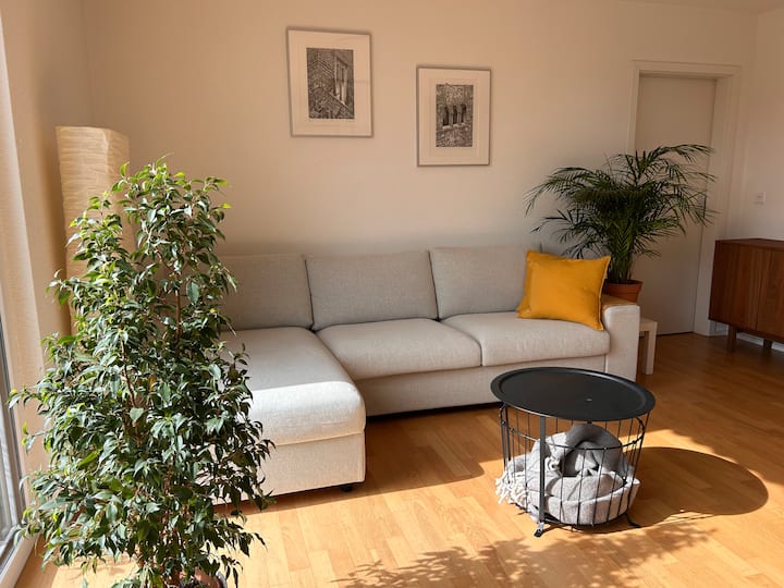 Cozy Apartment In Zürich Wiedikon - Zürich