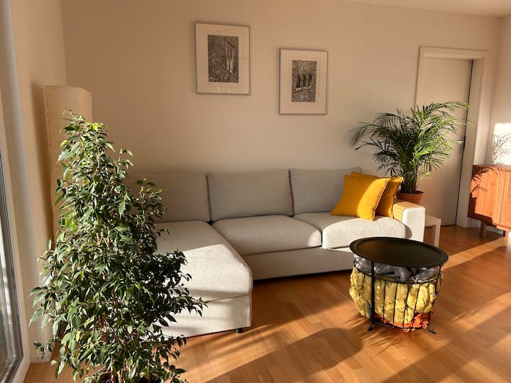 Cozy Apartment In Wiedikon - Zürich