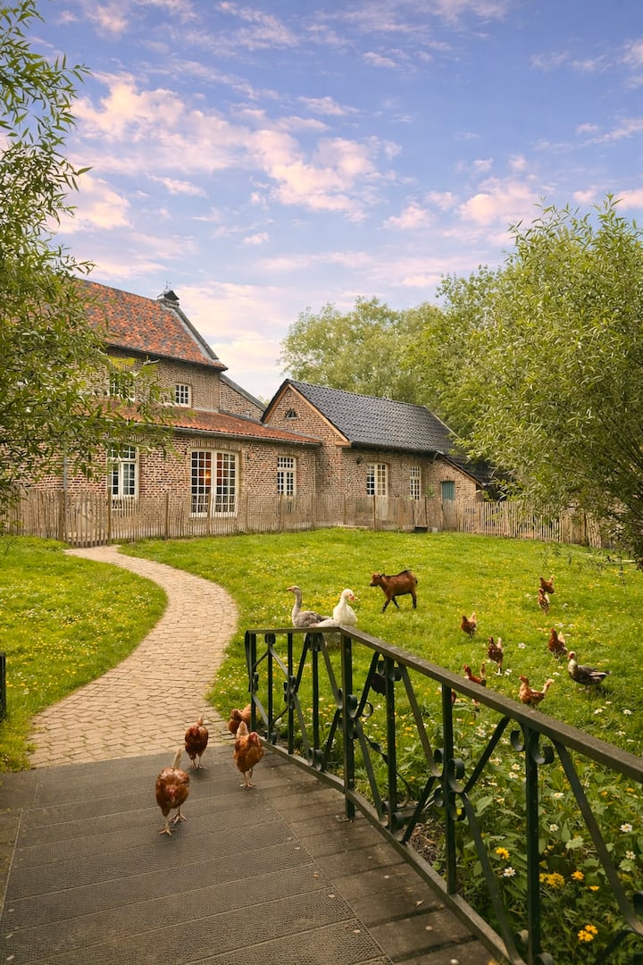 Charmant Huisje In Natuur & Dierenopvang - Maastricht