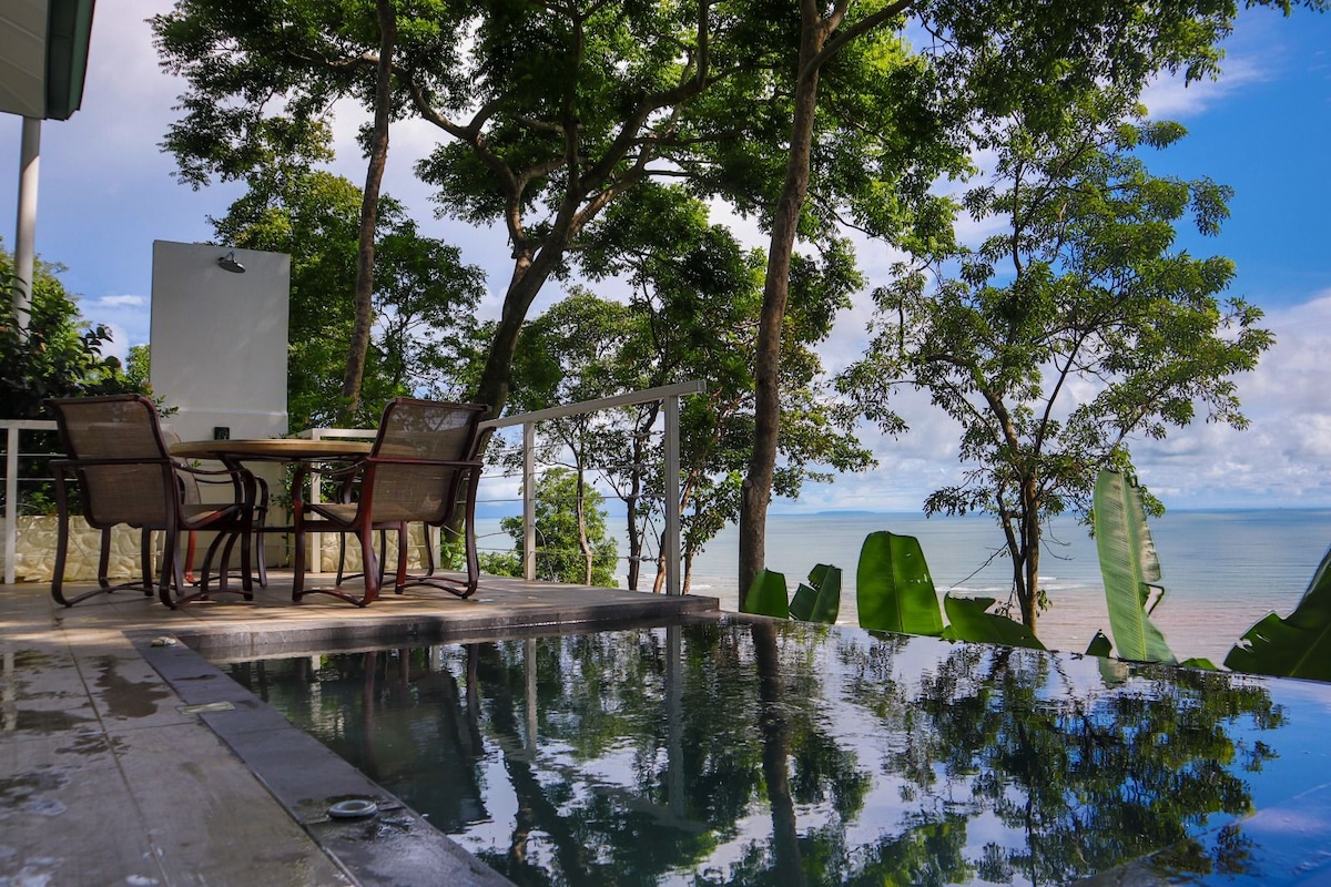 Selva Serena - Léopard de la jungle 11 - Maisons à louer à Osa ...