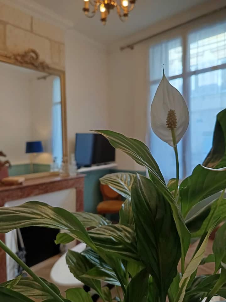 Le Carnot - T2 Raffiné Au Coeur De Libourne - Saint-Émilion