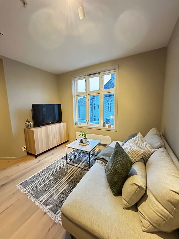Fantastisk Byleilighet I Bergen - Bergen