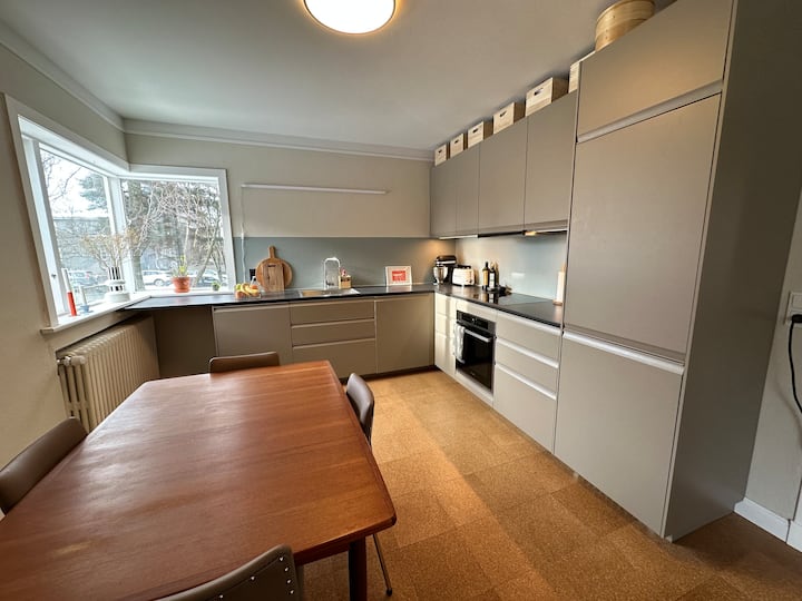 Central Reykjavík Apartment - Reikiavik