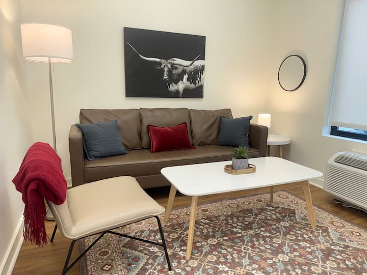 Gym/ Fast Wi-fi/ Luxury Modern Loft - Mount Nebo State Park, Dardanelle