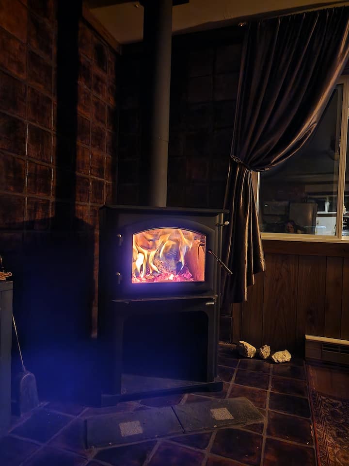 Georgetown Lake Cozy Cabin - Discovery Ski Area, MT
