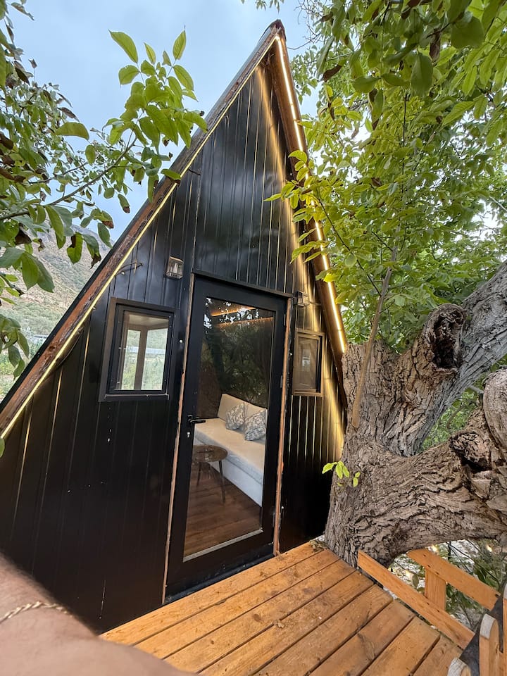 Al Jawzii Insta - Lebanon