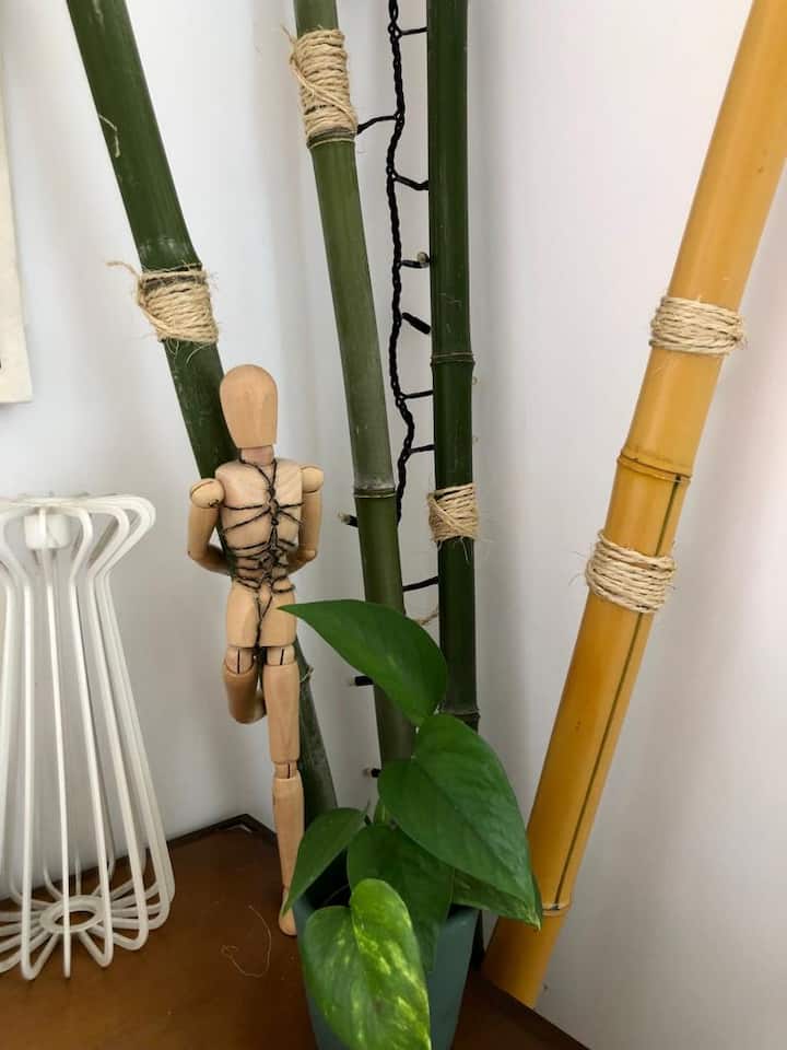 Appartement Shibari Suspension Bambou Pour Adultes - Talence