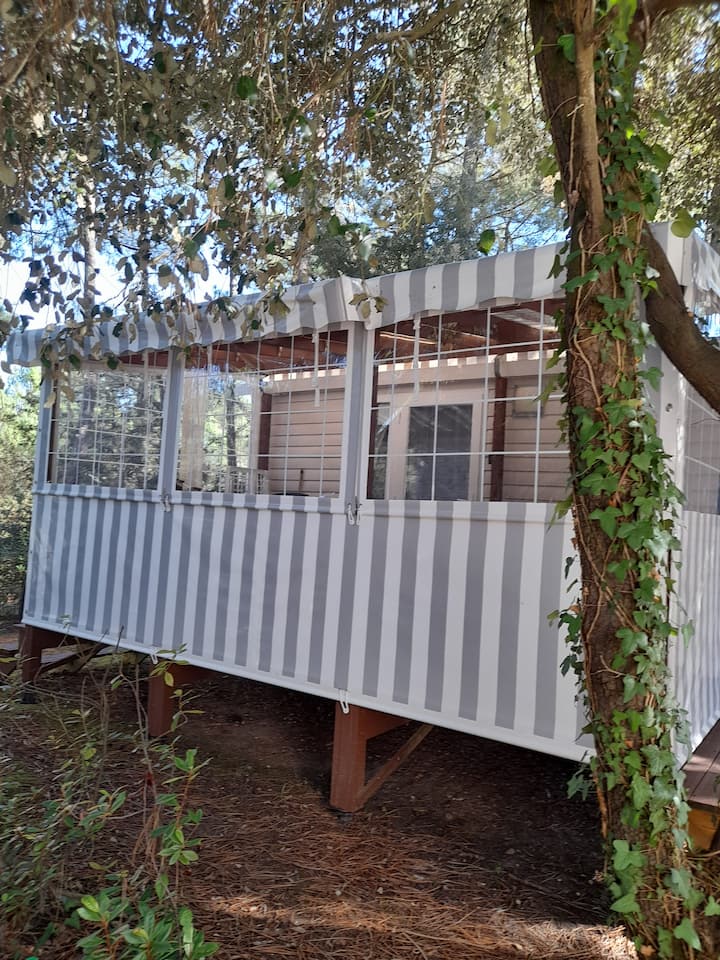 Location - Les Mathes