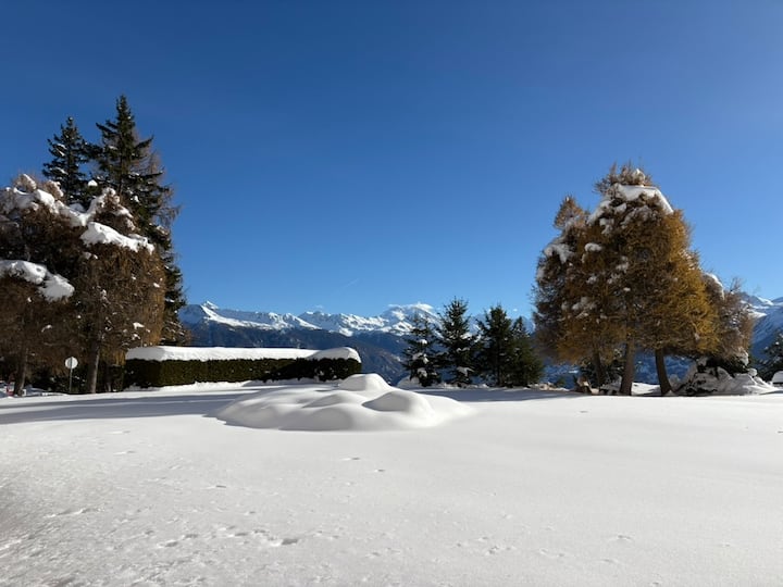 Appartement Ski In Out Avec Magnifique Vue - Vercorin