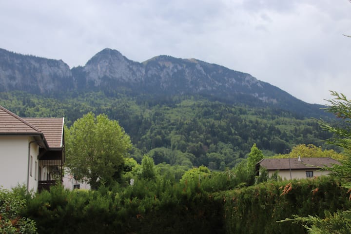 Gîte La Choupette - La Roche-sur-Foron