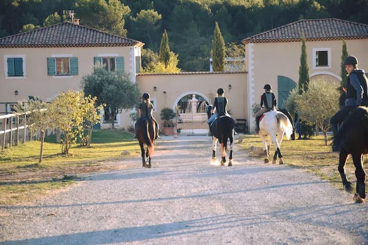 L'olivier - Séjour Nature Et éQuestre - Rousset
