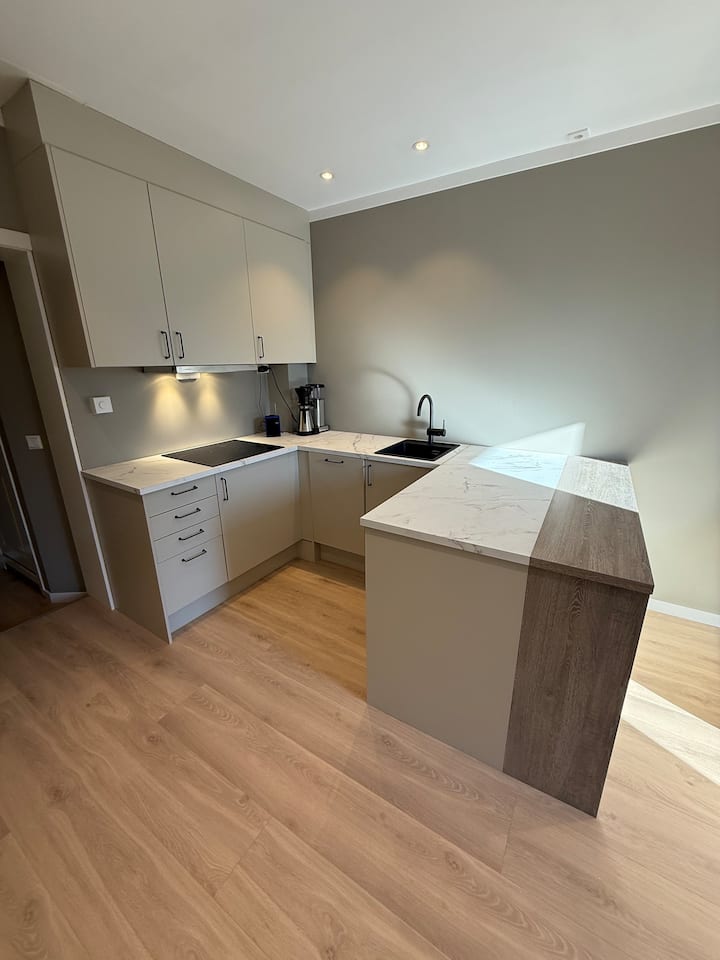 Schous Apartment - Oslo