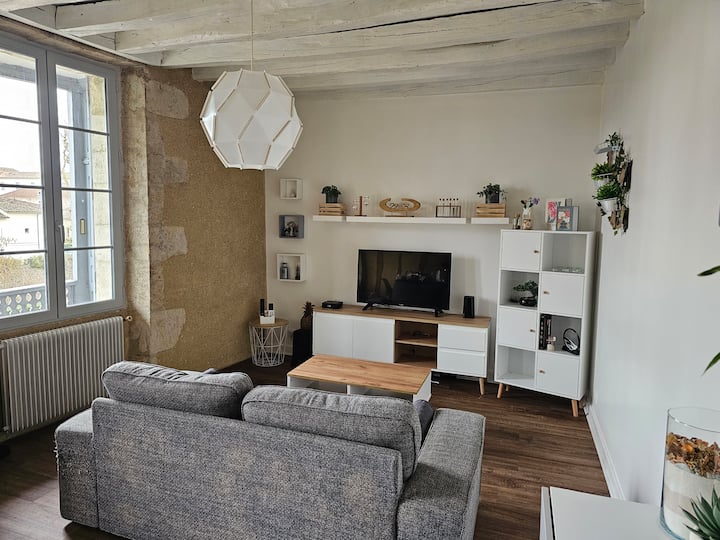 Appartement Tout Confort En Centre D’auch - Auch