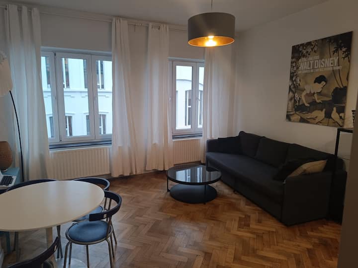 Appartement éQuipé Au Cœur De Centre - Brüsszel
