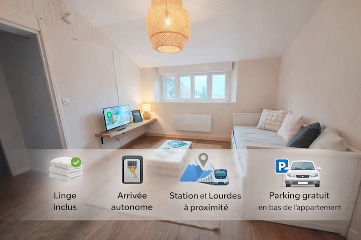 Le Cocon Sous Les Toits - Argelès-Gazost