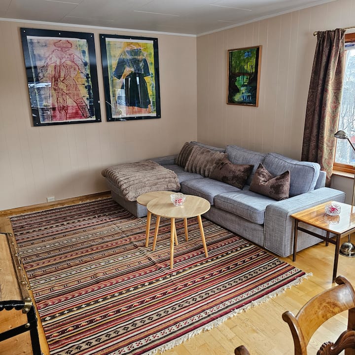 Sentral Beliggenhet På Geilo. 200 M Til Skibakken. - Norvège