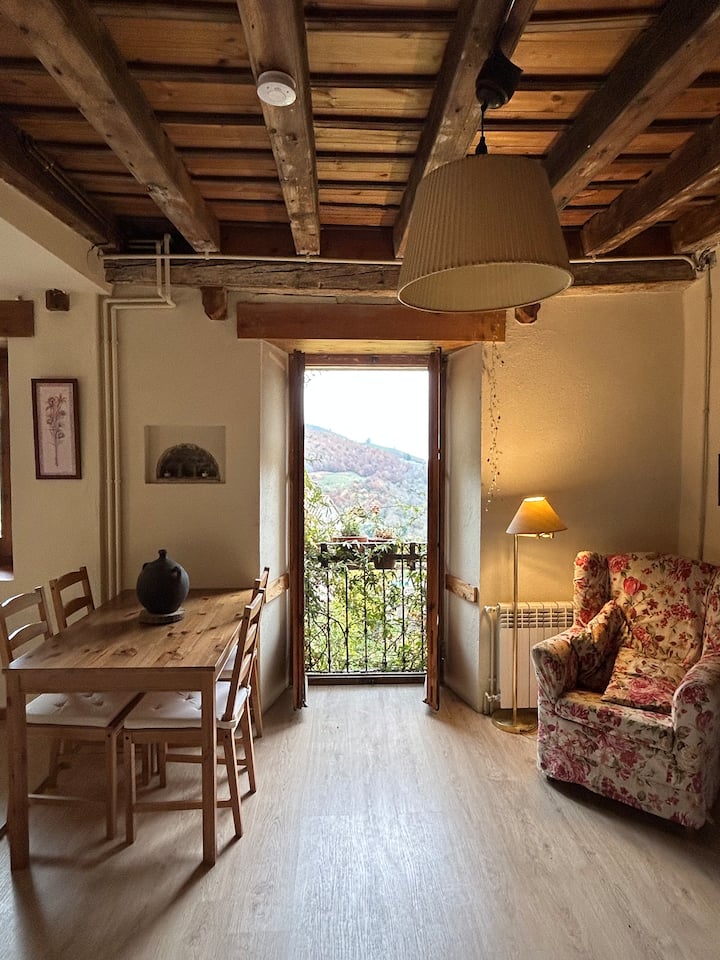 Senglar - Estudio 26 M Con Baño Privado - Setcases