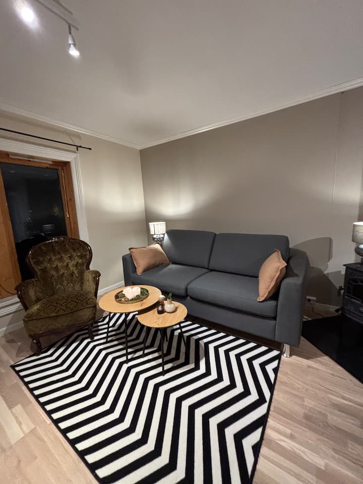 3-roms Leilighet Midt I Byen - Raufoss