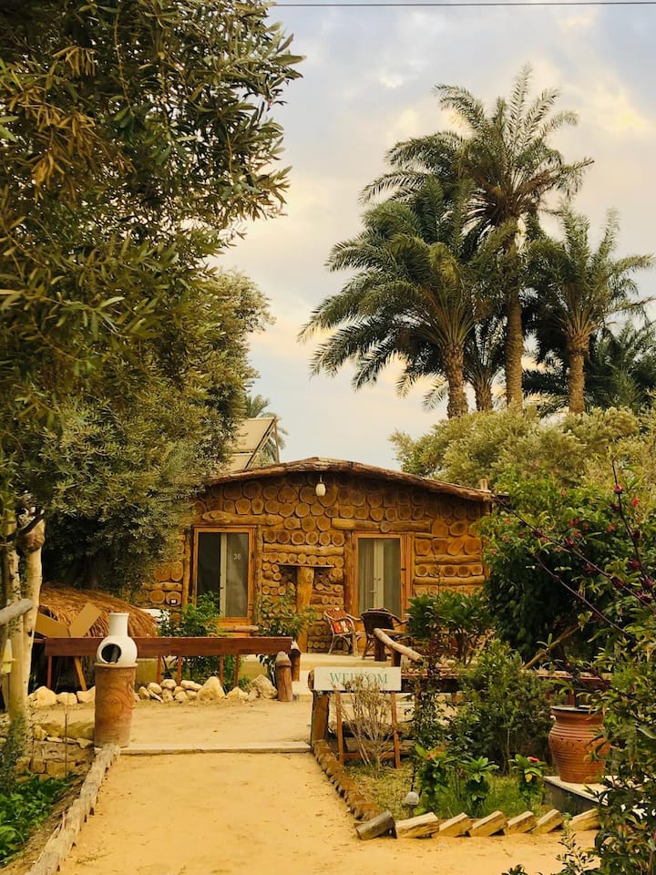 في أحضان أشجار الزيتون كوخ كامل من خشب الكافور - Egypt