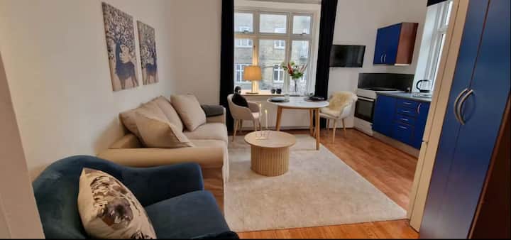 Central 1br Studio - Walk Everywhere In Aarhus - Aarhus