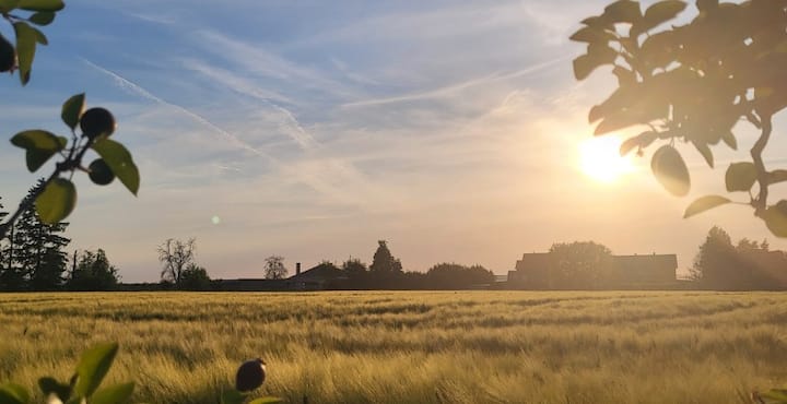 Vakantiehuisje Merkem 'T Hoge 14 - Ypres