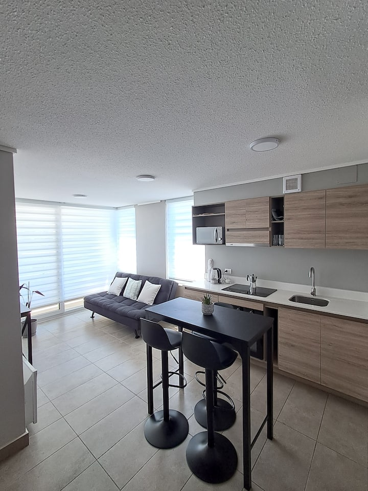 Moderno Y Cómodo En Pleno Centro De Temuco - Temuco