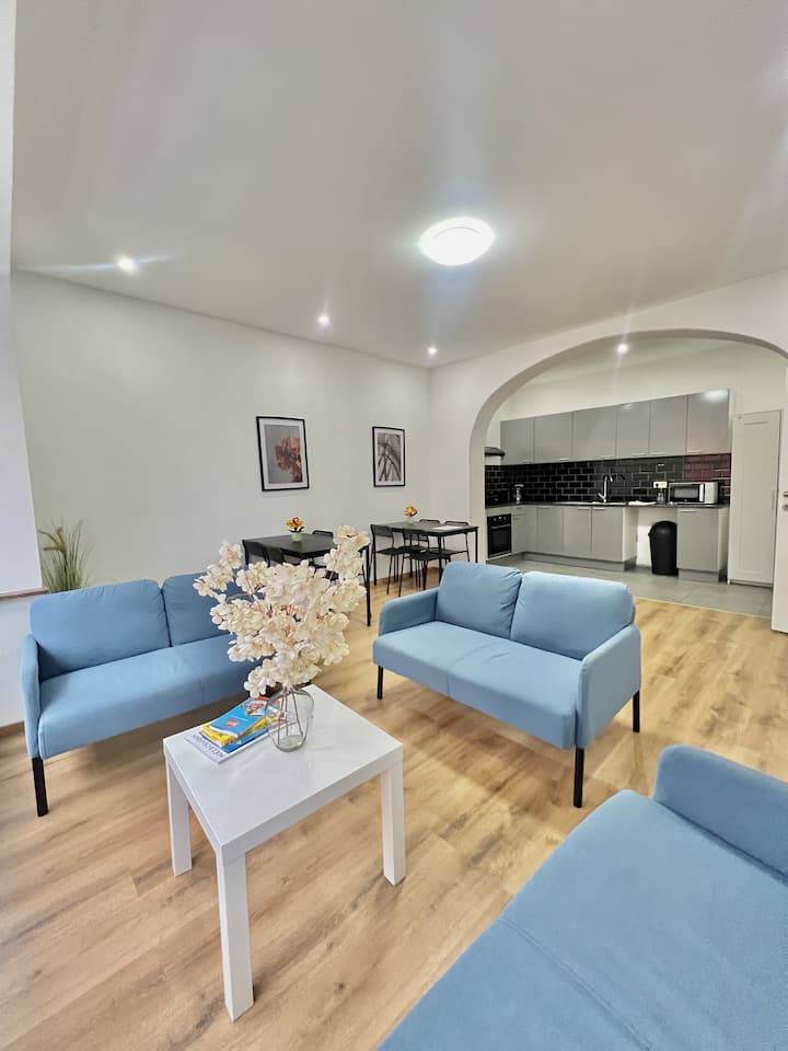 Spacious Apartment For 6 Near Center Of Brussels - Anderlecht