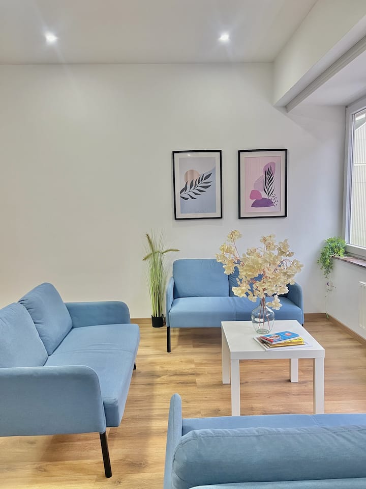 Spacious Apartment For 6 Near Center Of Brussels - Forest