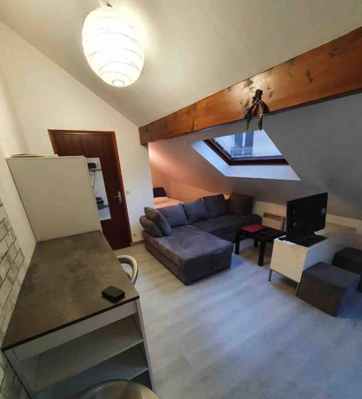 5 Min From Paris In Metro, La Seine And Nature. - Saint-Cloud