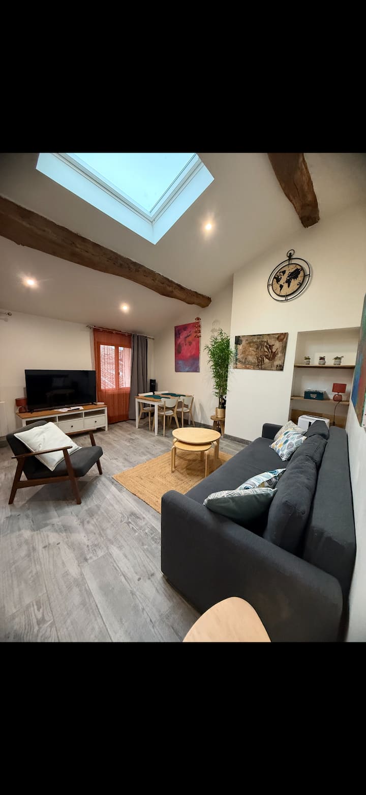 Appartement Spacieux, Au Cœur De La Ville 54 M² - Tournus