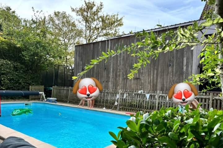 Tomorrowland Host - Boom