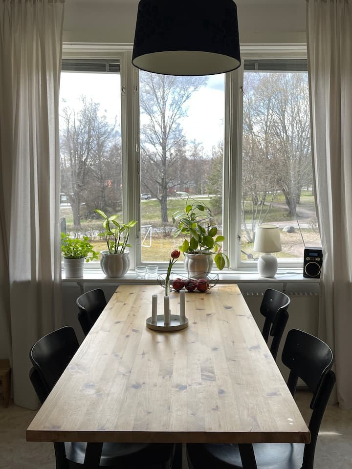 Rymligt Boende Med 4 Sovrum - Gävle