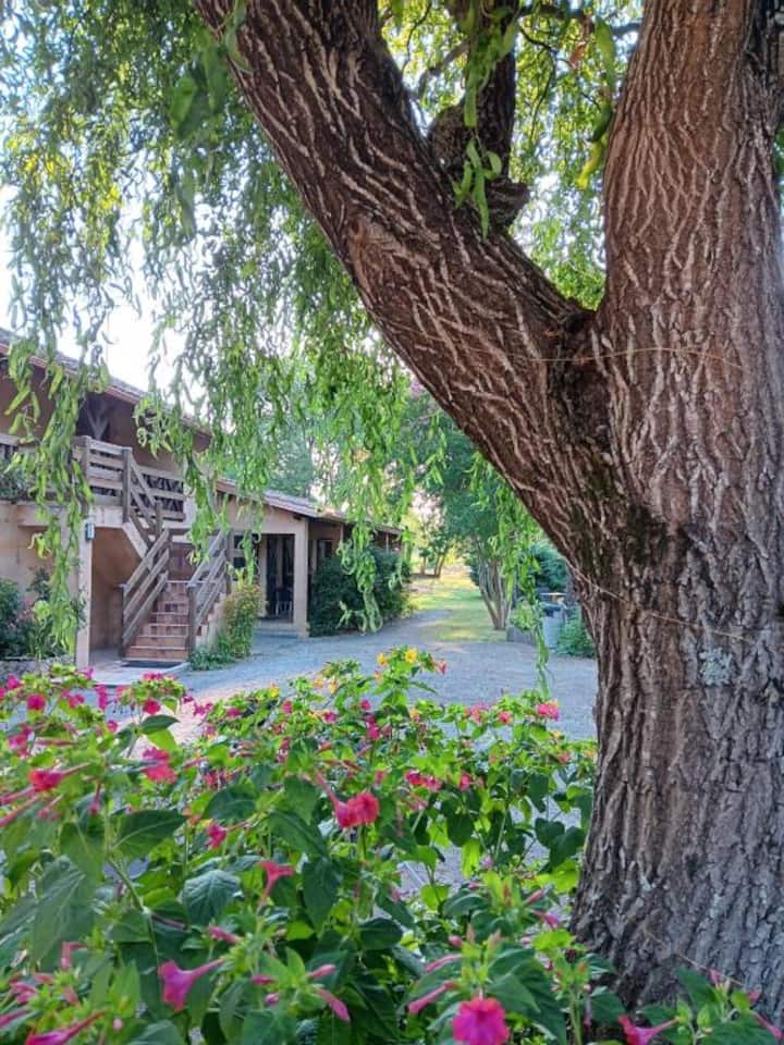 Moulin Du Comte - I. Grande Chambre Au 1er éTage - Nogaro