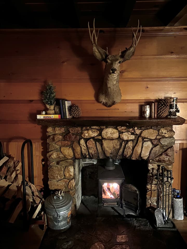 Cooley's Cozy Cabin - Running Springs, CA