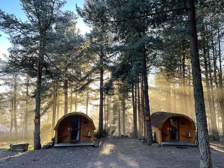 Camping Pods Nestled In The Woods Above Loch Ness. - Loch Ness
