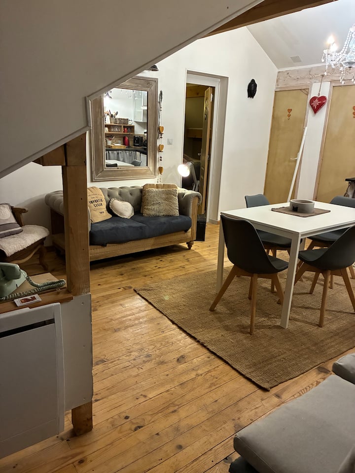 Cocon Chic Et Paisible, Idéal Pour Se Ressourcer - Puy de Sancy