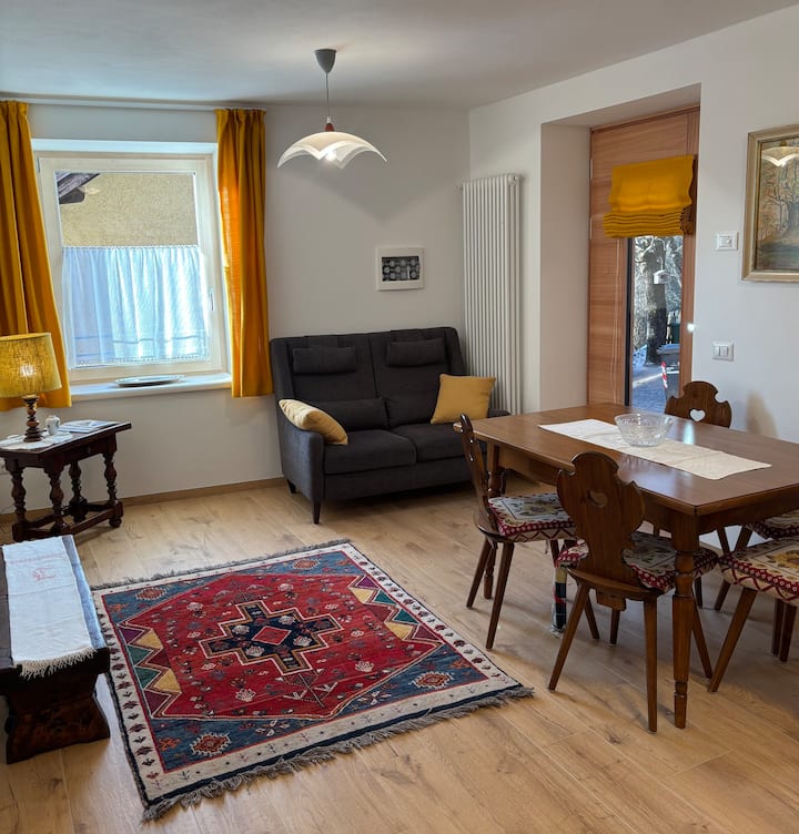 Casa Divan Apartment, Newly Renovated - Castello di Fiemme