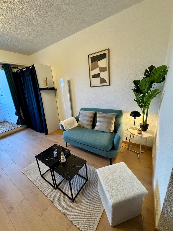 Séjournez Face Aux Pyrénées – T1 Bis Avec Balcon - Pau