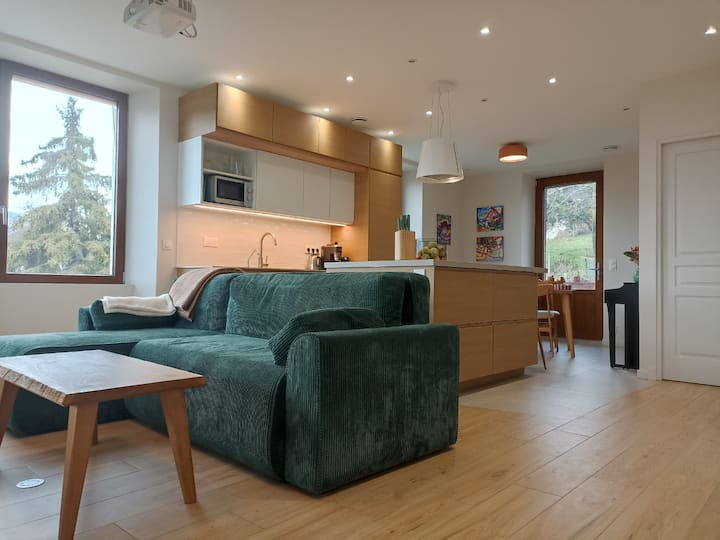 Bel Appartement Avec Vue Sur Les Montagnes - Sévrier