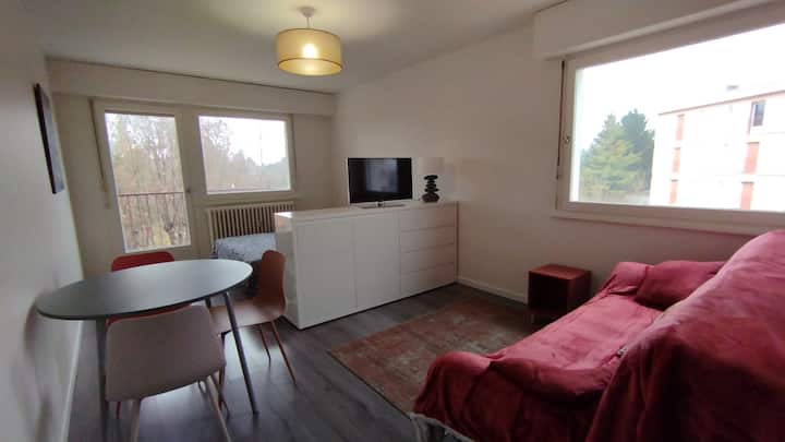 43m2-près Moillesulaz/ Mon Idée-parking-balcon - Gaillard