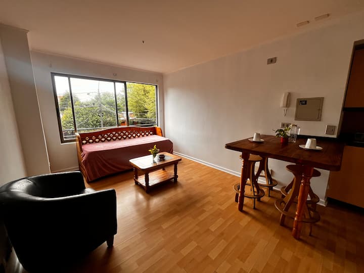 Central Pucón 4 Cuadras Del Lago - Pucón