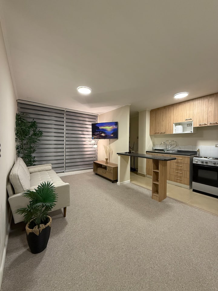 Departamento 3d 2b Curicó - Curicó