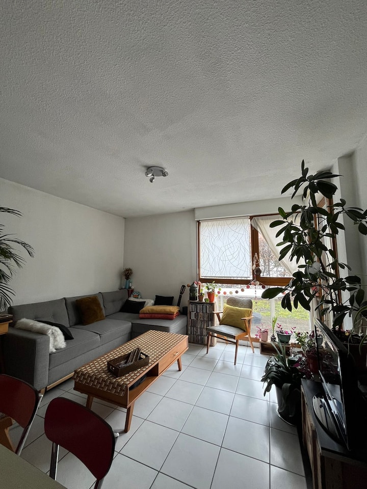 Appartement Thônes - Thônes