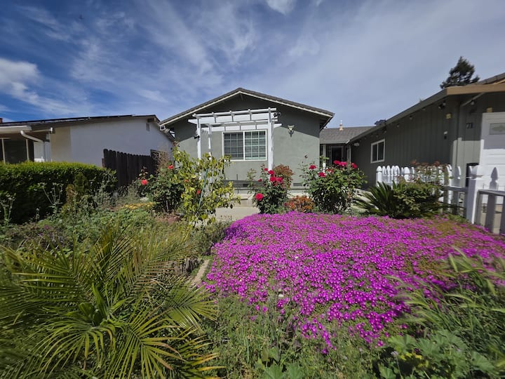 Blossom Valley 5 Bdr/3.5 Ba Spacious New Remodel - San Jose
