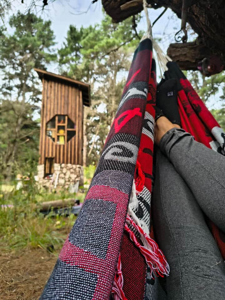 Refugio Torre Del Bosque - Miramar