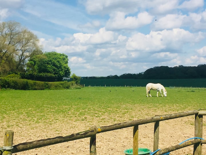 Millars Cottage Beautiful Location - Alton