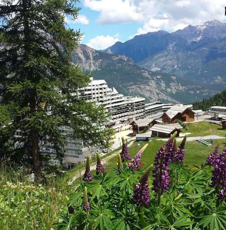 Appartement à 1600 - 4 Couchages - Ailefroide