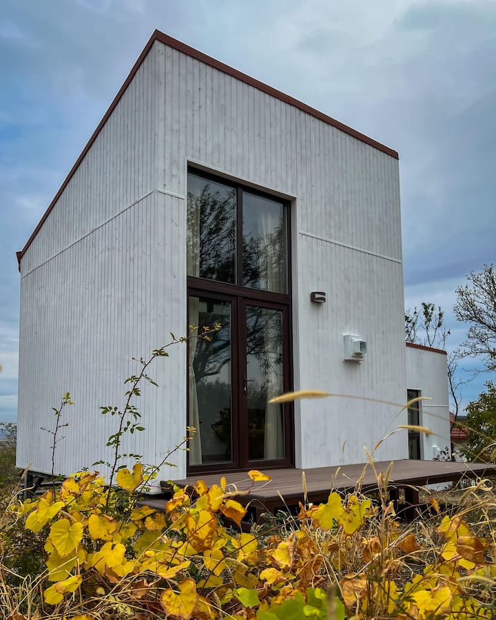 Căsuță De Evadare îN Mijlocul Naturii - Pietroasele